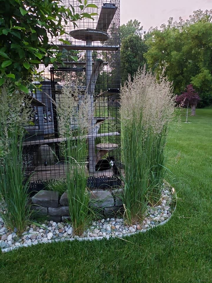 Catio Outdoor Cat Enclosures | Cat Runs by Habitat Haven