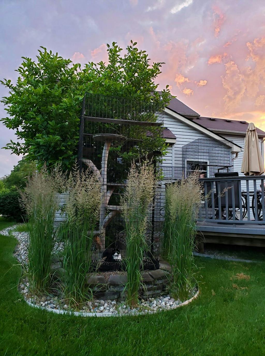 Catio Outdoor Cat Enclosures | Cat Runs by Habitat Haven