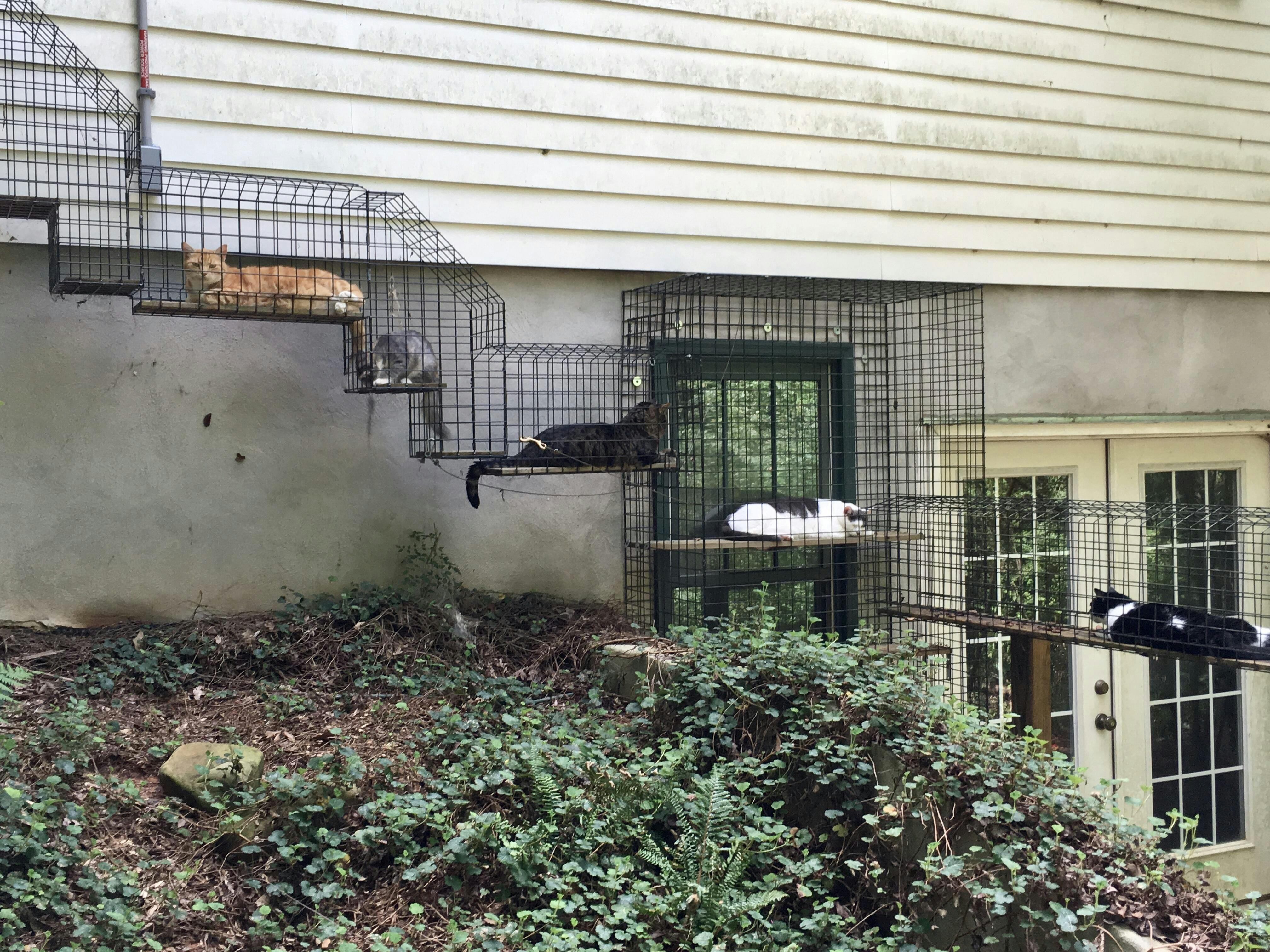 Catio Outdoor Cat Enclosures | Cat Runs by Habitat Haven