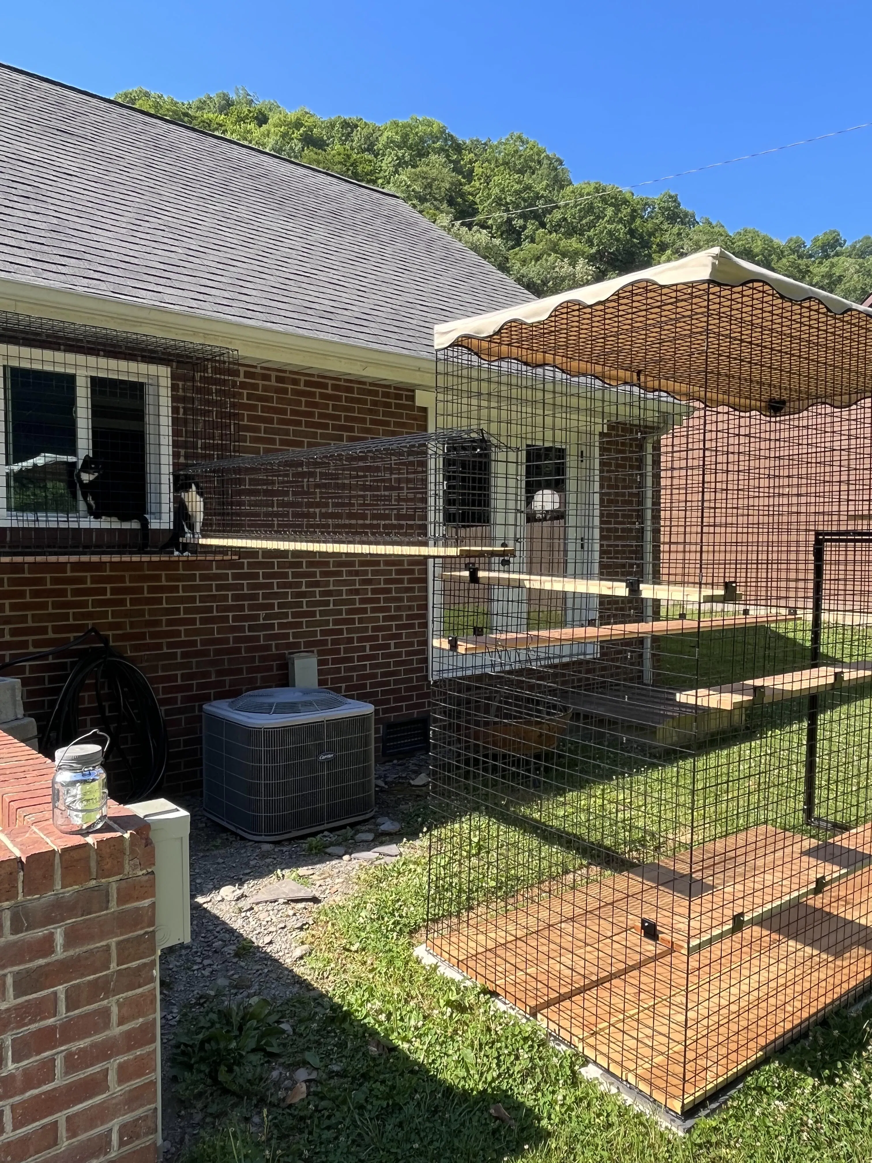 Catio Outdoor Cat Enclosures | Cat Runs by Habitat Haven