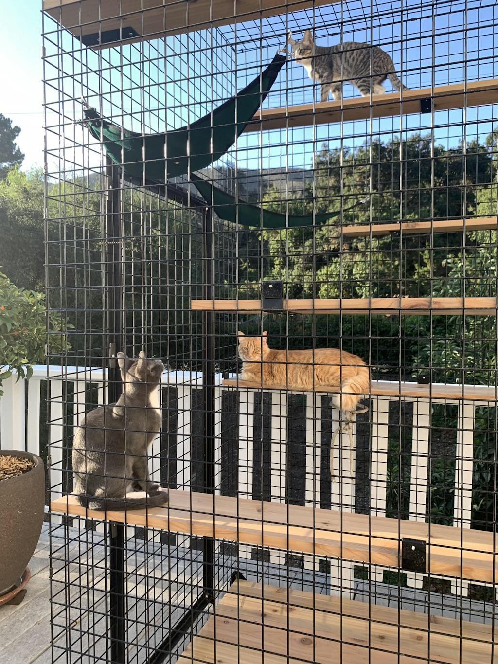 Cat Fences | Safe Cat-Proof Fences | Habitat Haven