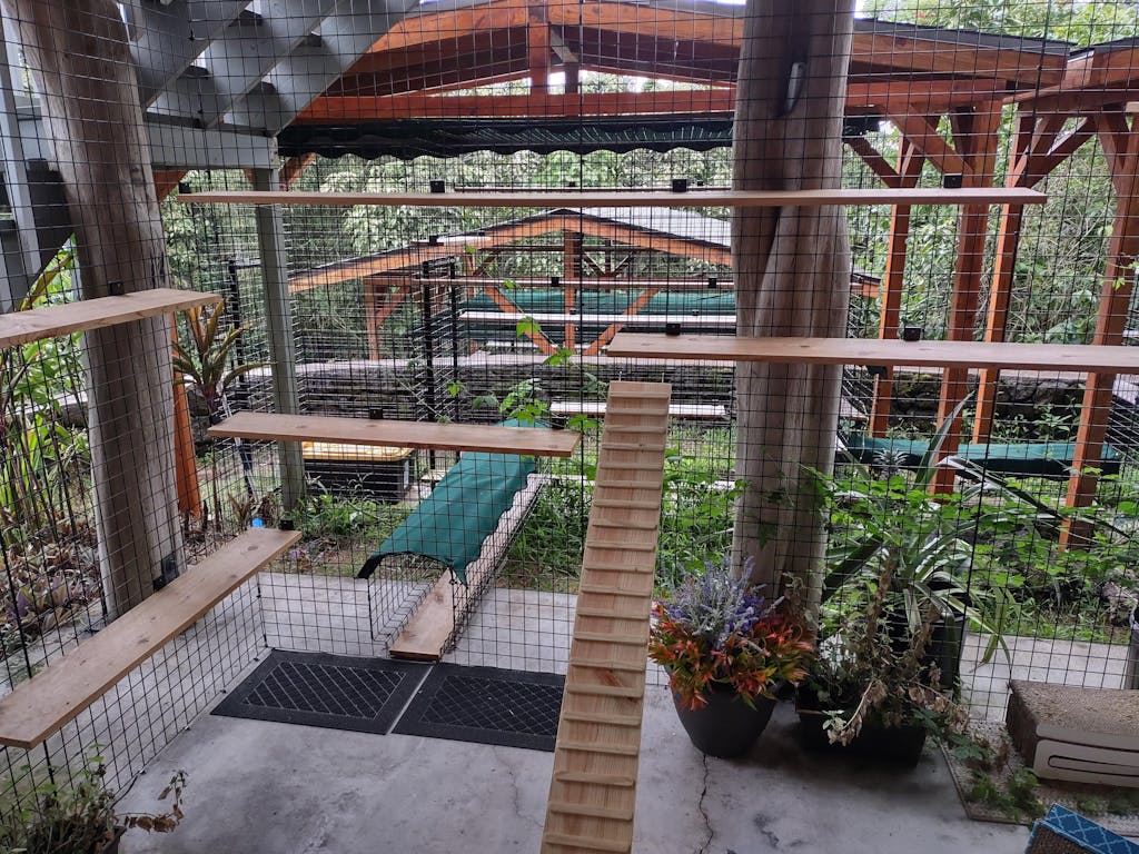 Catio Outdoor Cat Enclosures | Cat Runs by Habitat Haven