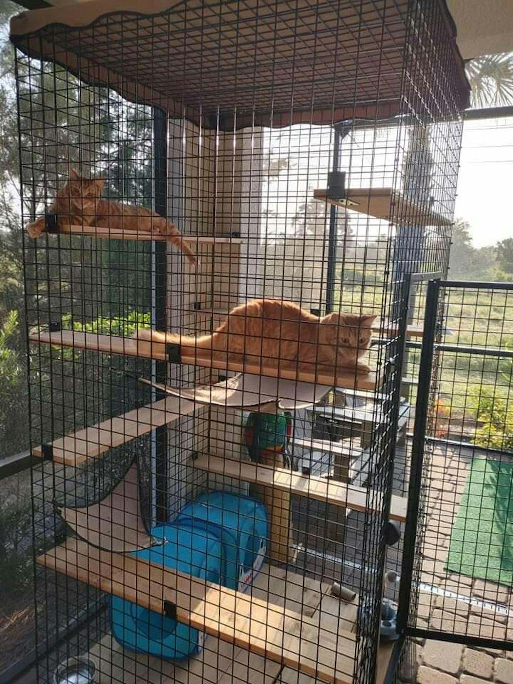 Catio Outdoor Cat Enclosures | Cat Runs by Habitat Haven