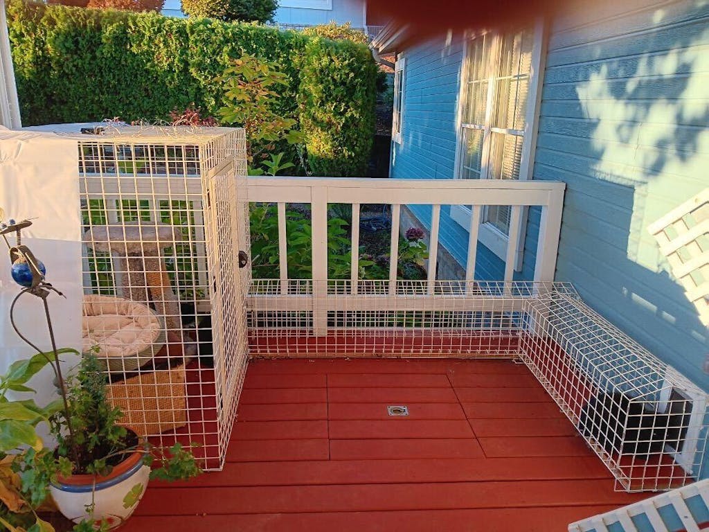 Custom Enclosure by Our Design Team - Habitat Haven