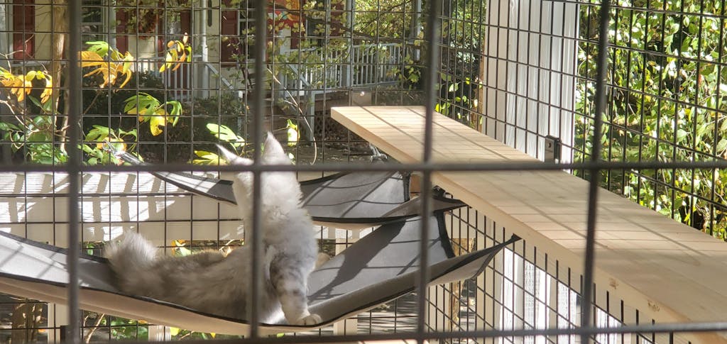 Planning Your Enclosure - Habitat Haven