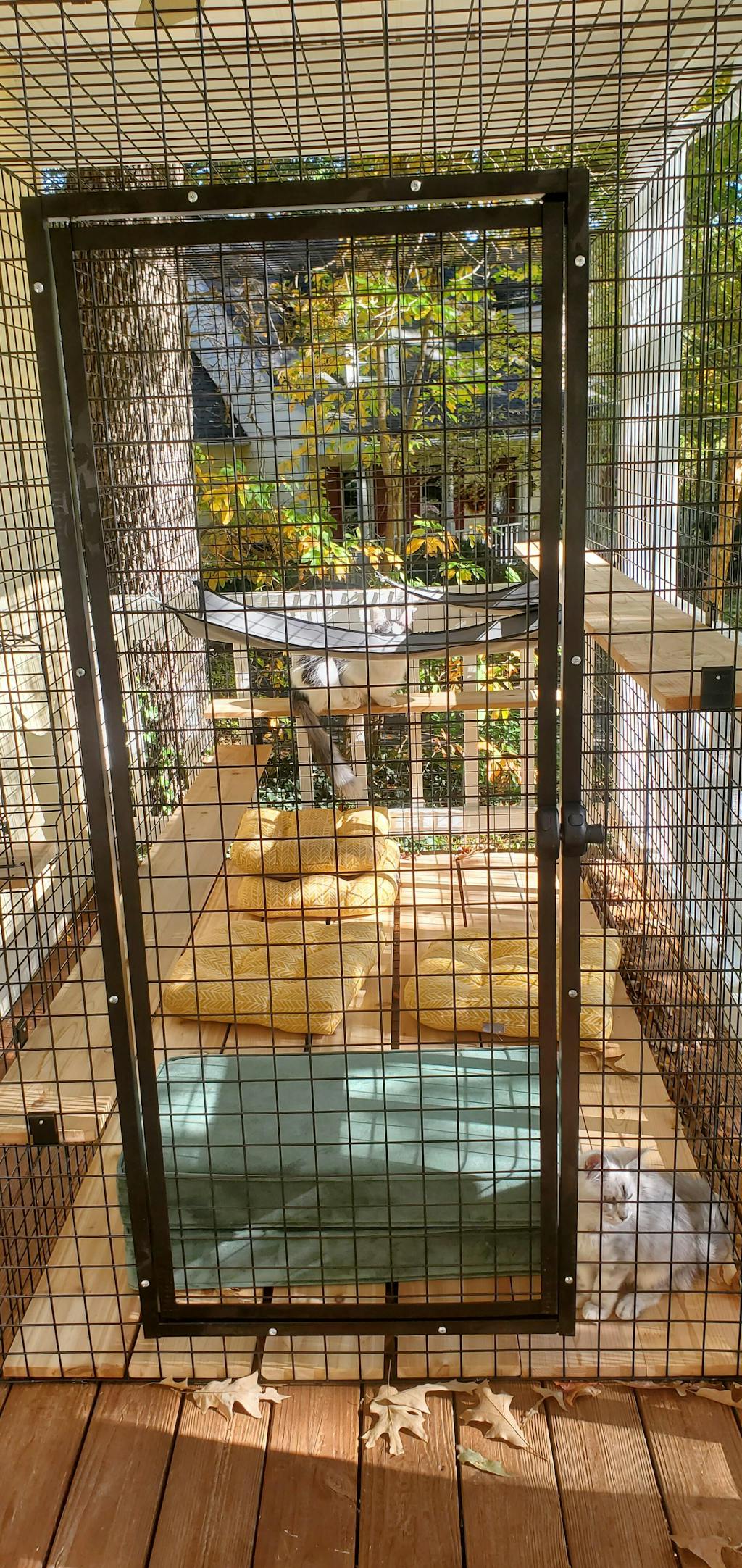 Planning Your Enclosure - Habitat Haven