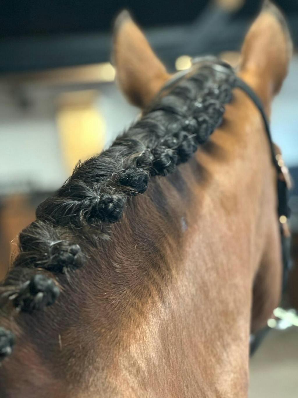 Hairy Pony Fake It Horse Mane Hair Extensions - Hairy Pony