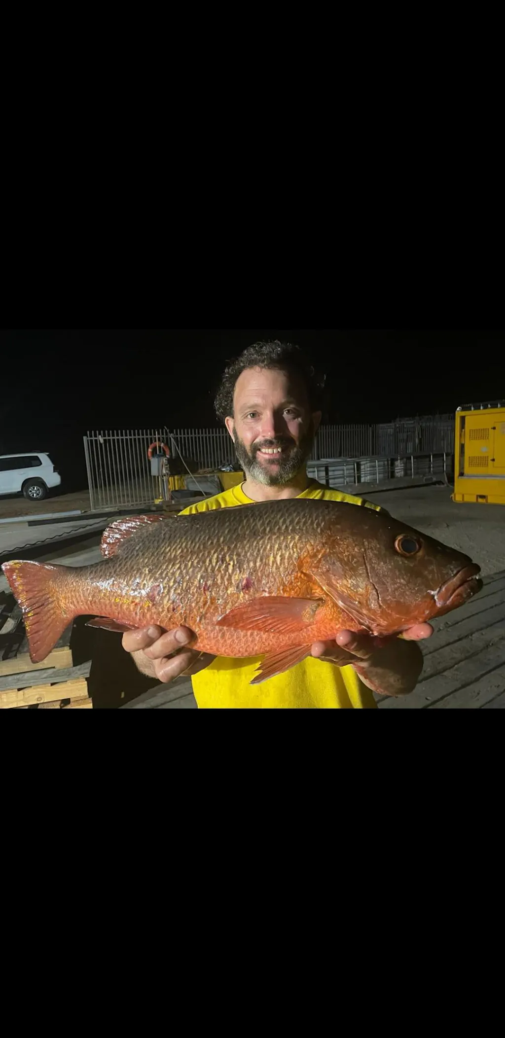 Laser Pro 120 – Halco Lures