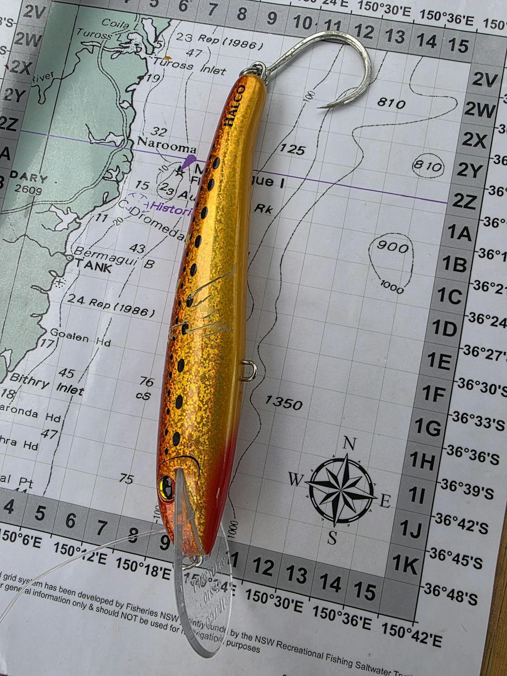 Laser Pro 210 – Halco Lures