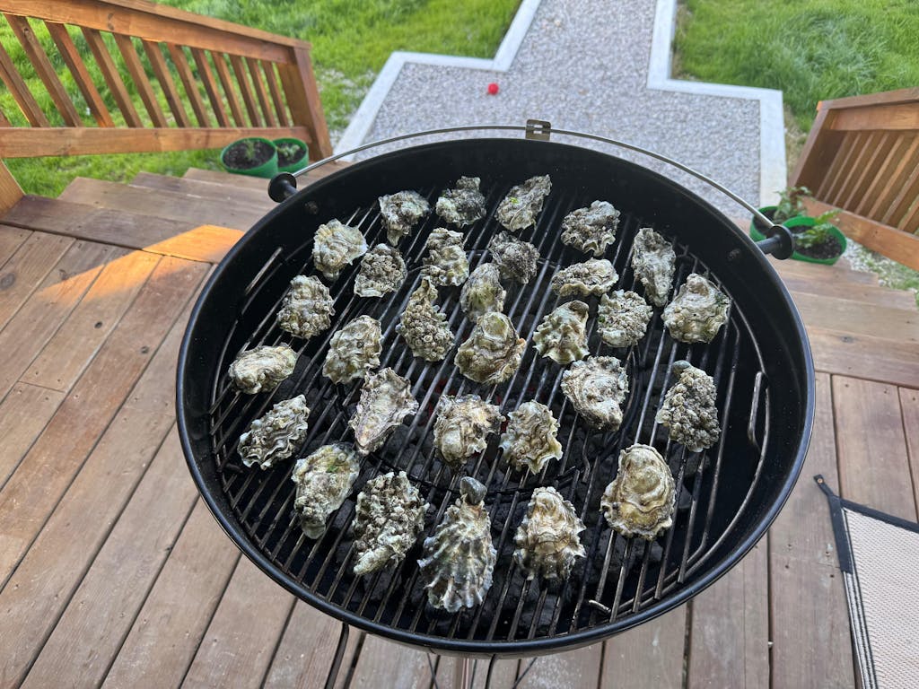 10 dozen bag - free shipping!