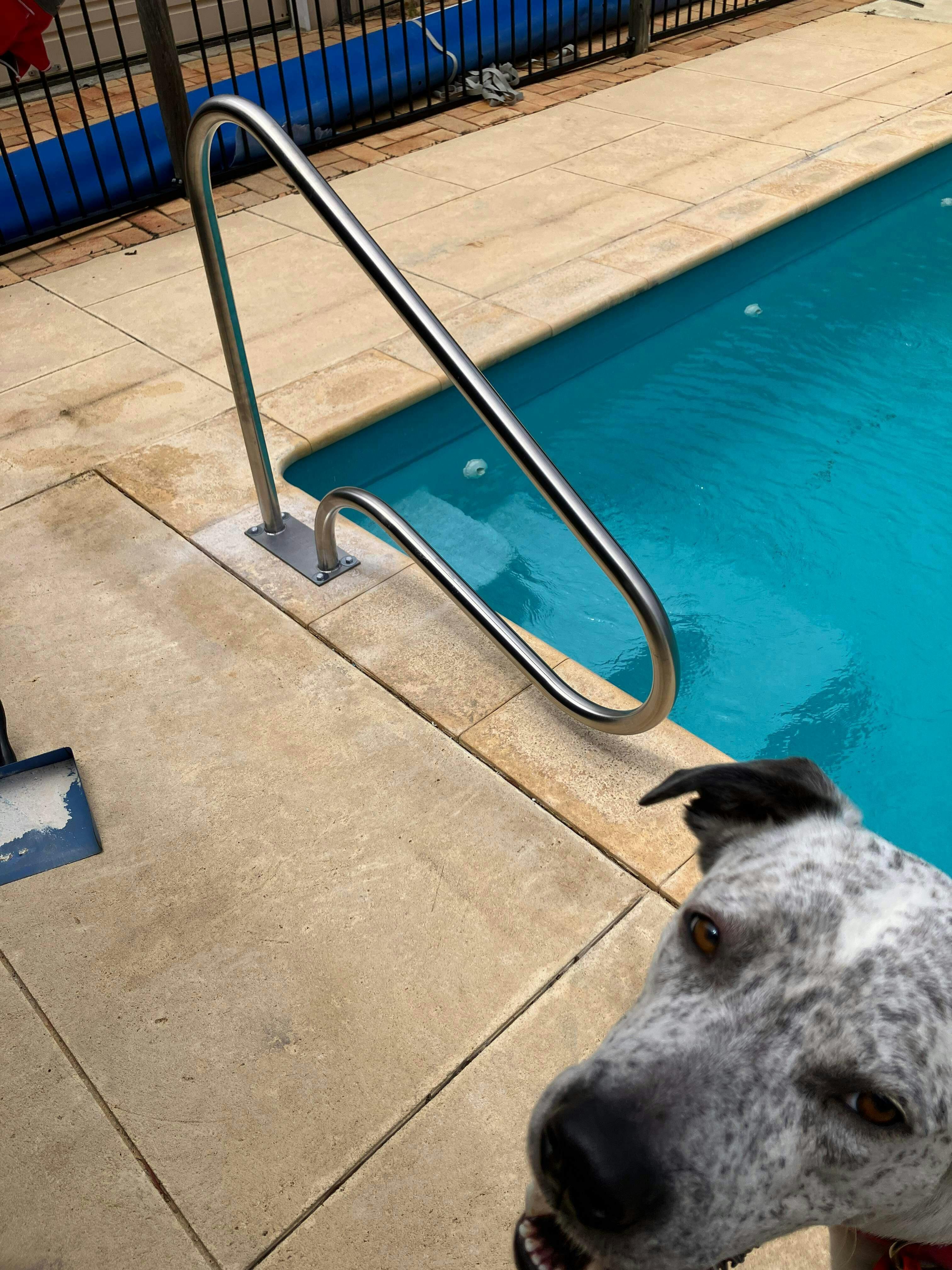 Stainless Steel 1m Bull Nose Bolt Down Hand Rail - Hand Rails Australia