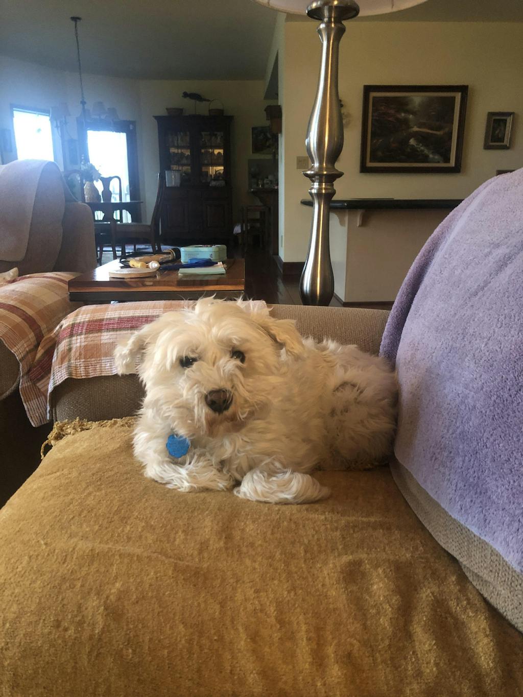 HappyDogFood | Real Food For Real Good Dogs