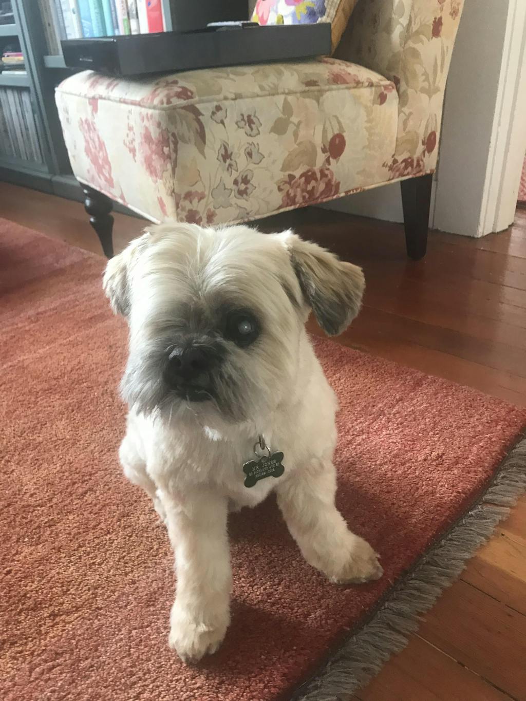 HappyDogFood | Real Food For Real Good Dogs