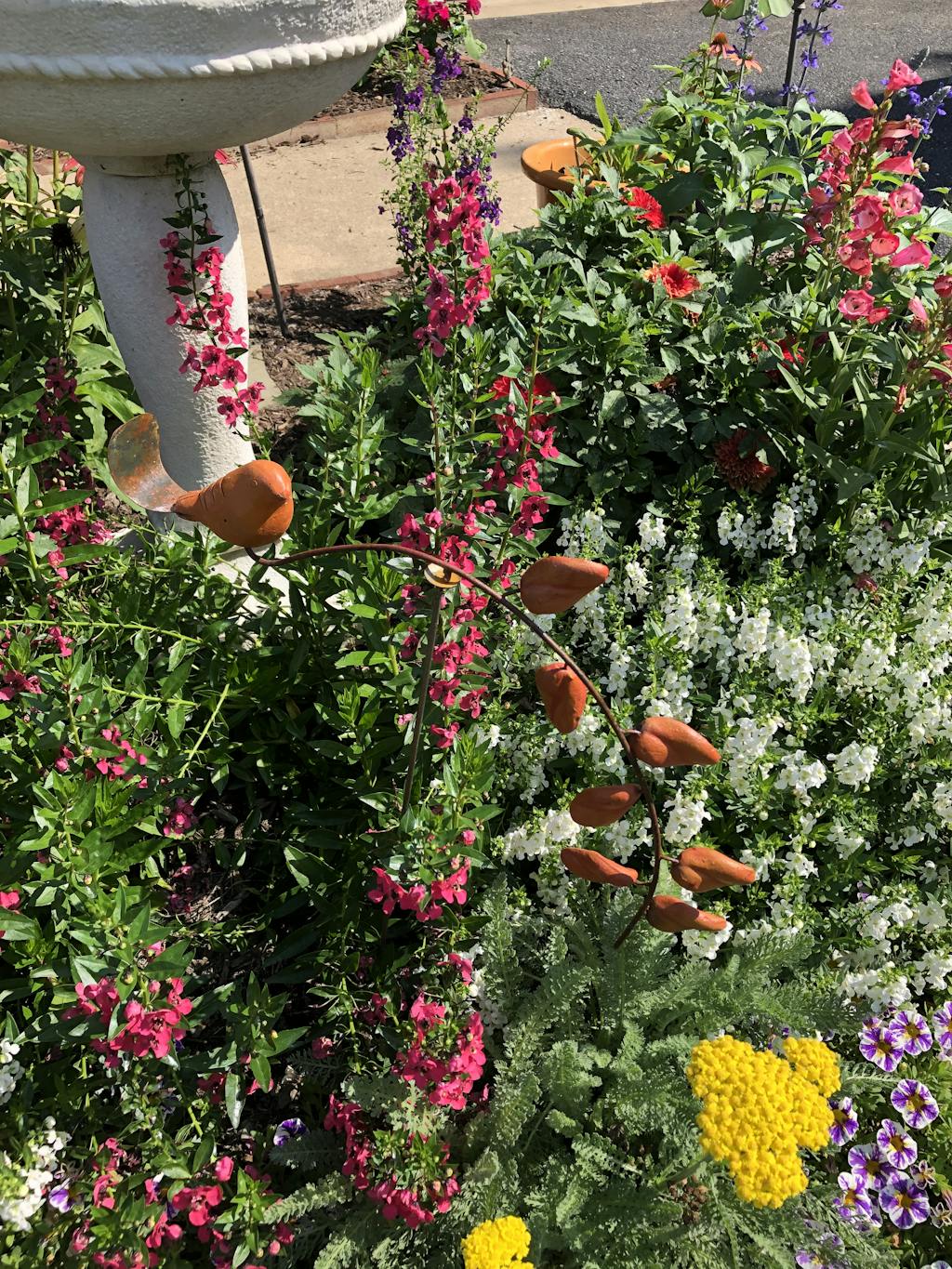 Garden Balancer- Bird Spice – Happy Gardens