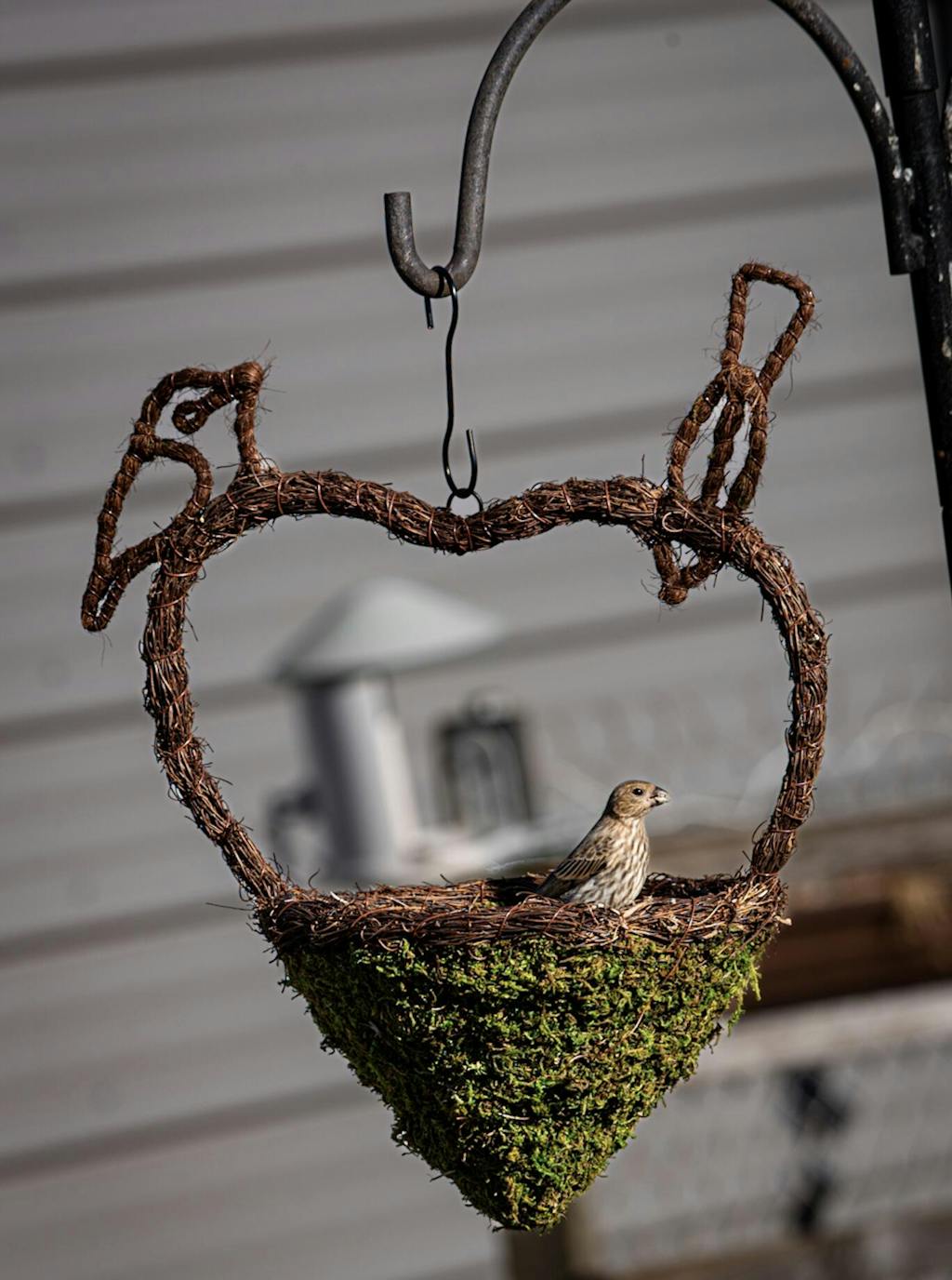 Wind Spinners, Garden Spinners & Whirligigs For Your Yard