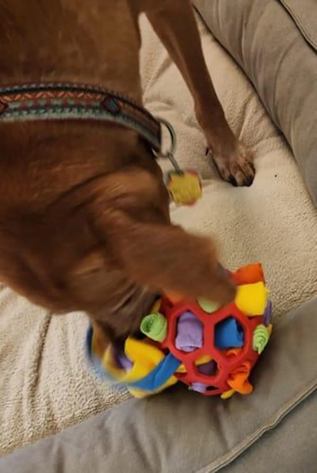 Sniffle — Happy-Luna
