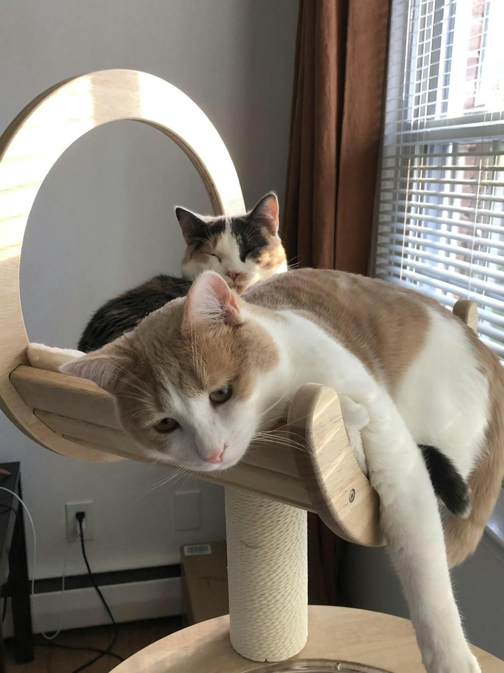 Building Block Cat Tree – Happy & Polly