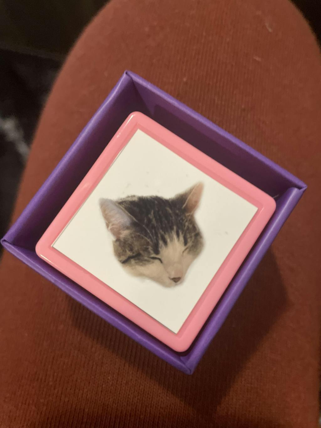 Custom Pet & Cat Stamp – Happy & Polly