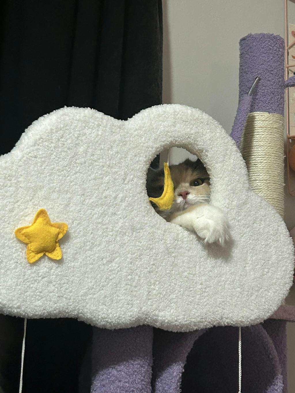 Moonlight Cat Tree – Happy & Polly