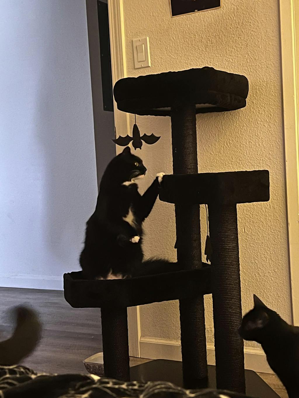 Gothic Style Cat Tree – Happy & Polly