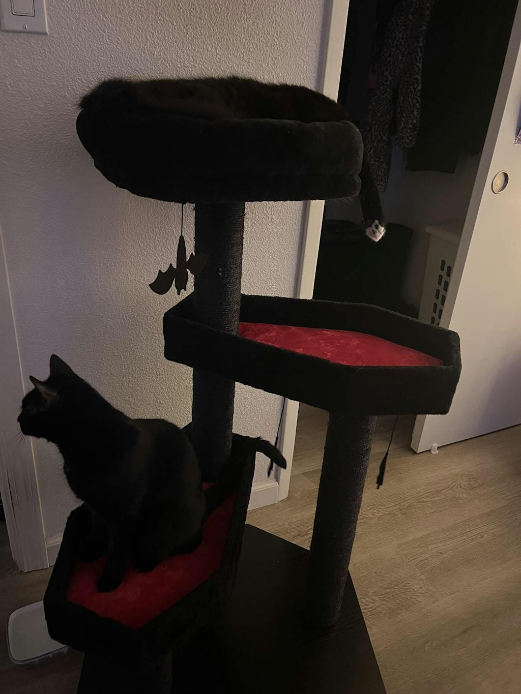 Gothic Style Cat Tree – Happy & Polly