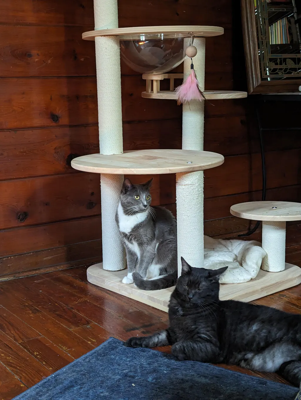 Building Block Cat Tree – Happy & Polly