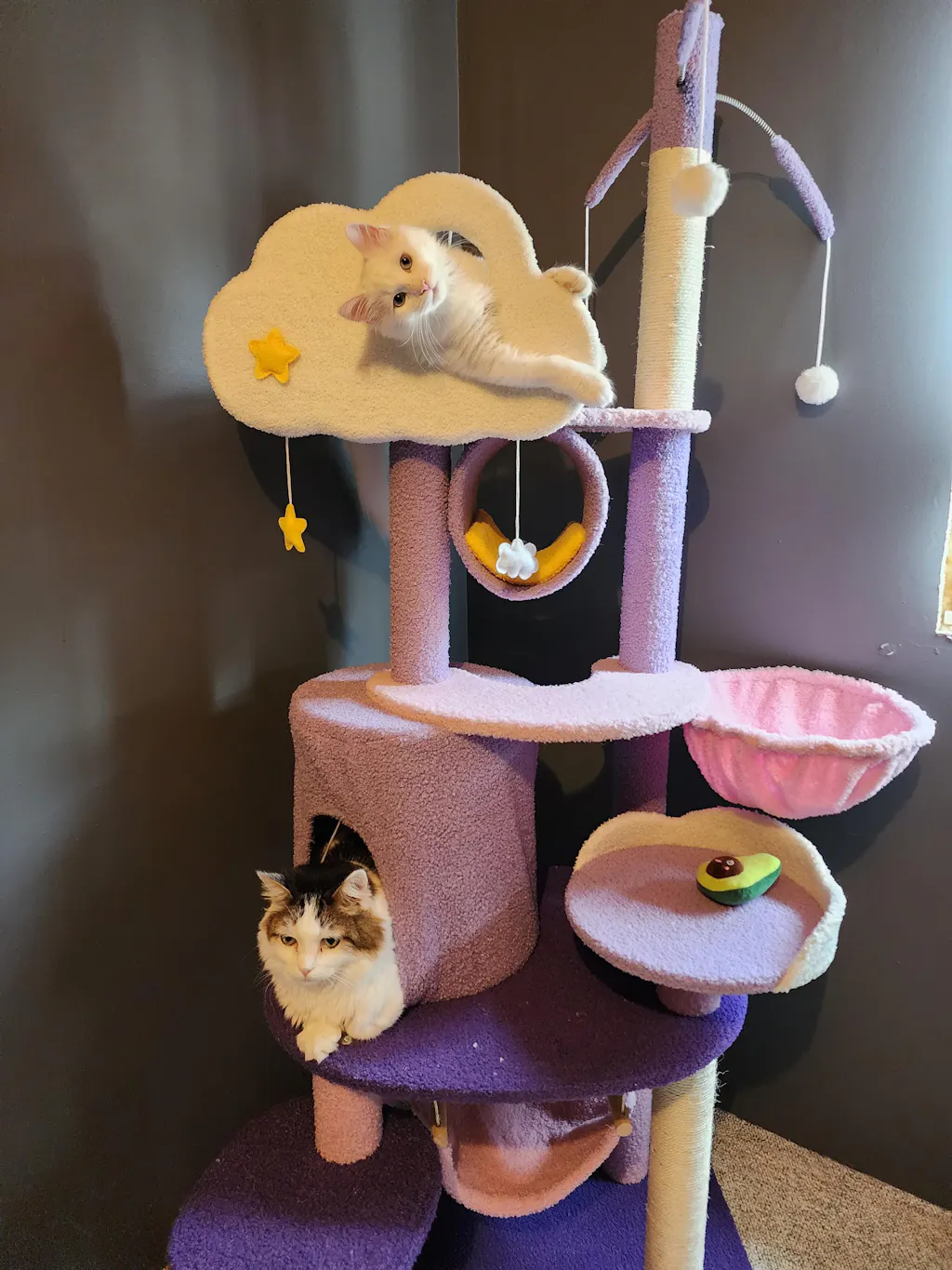 Moonlight Cat Tree – Happy & Polly