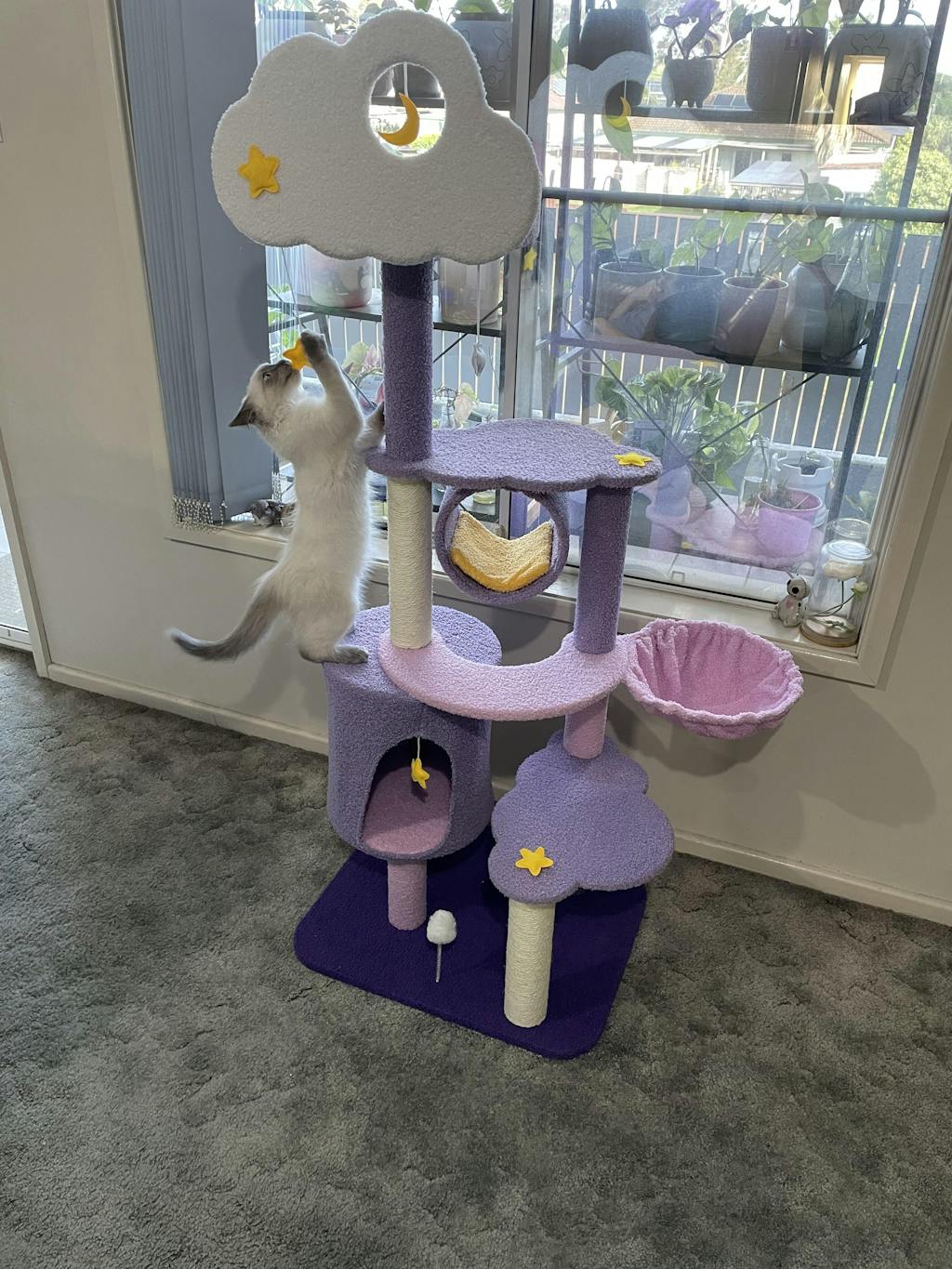 Moonlight Cat Tree – Happy & Polly