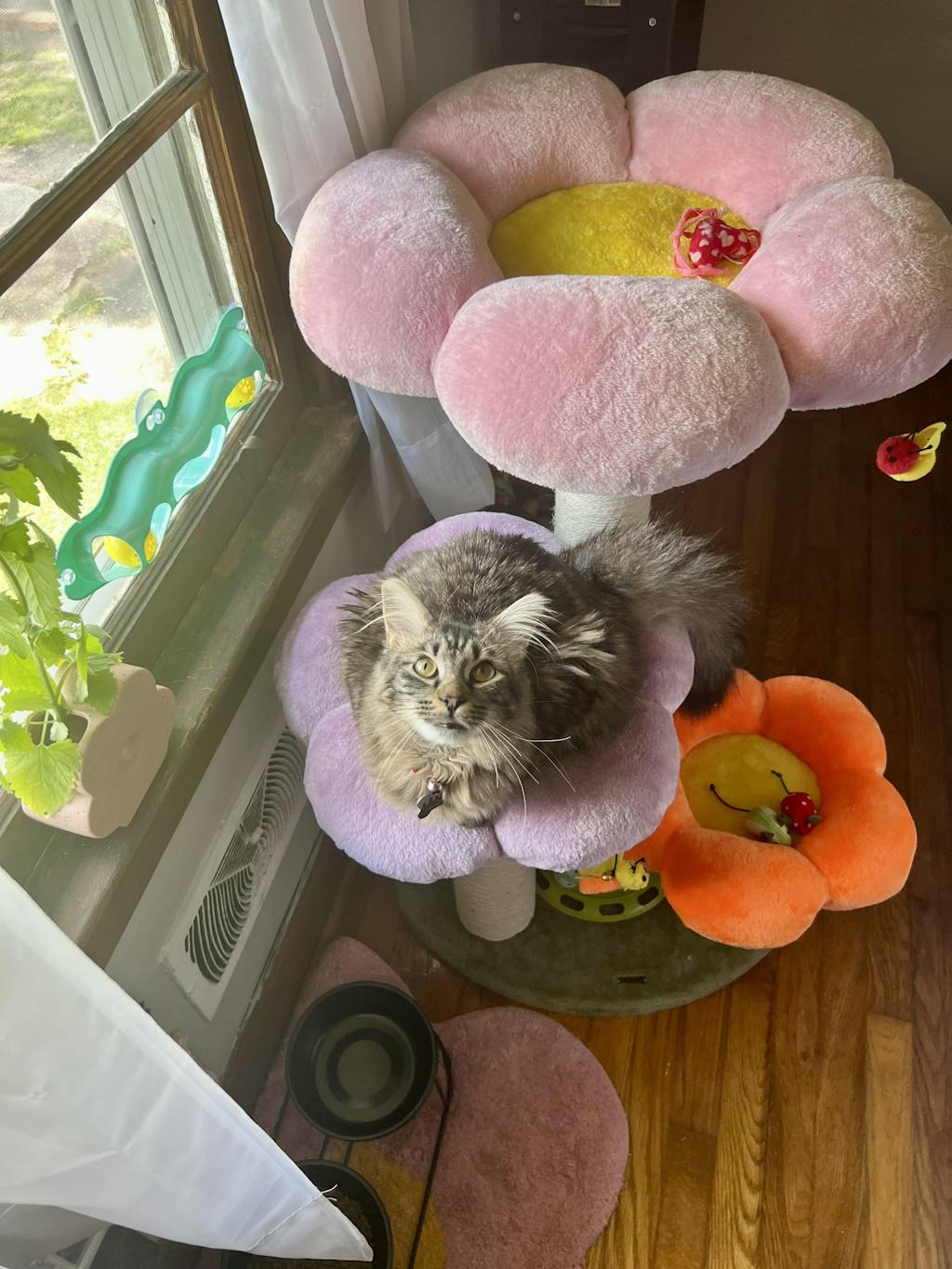 Three Flower Cat Tree – Happy & Polly