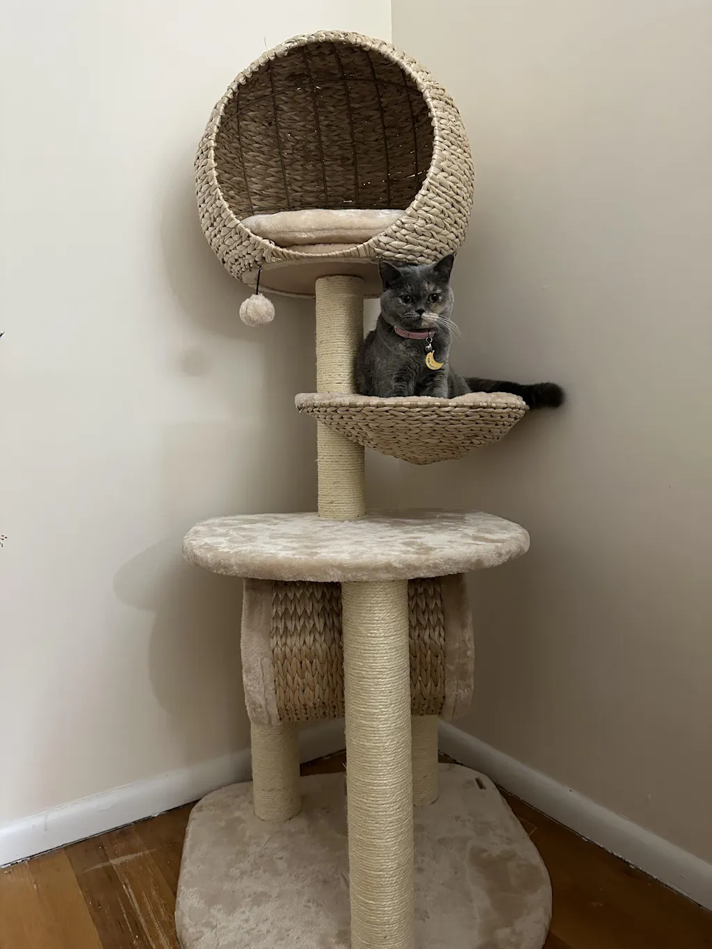 Bird Nest Cat Tree – Happy & Polly