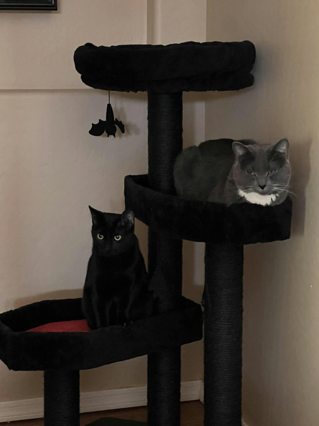 Gothic Style Cat Tree – Happy & Polly