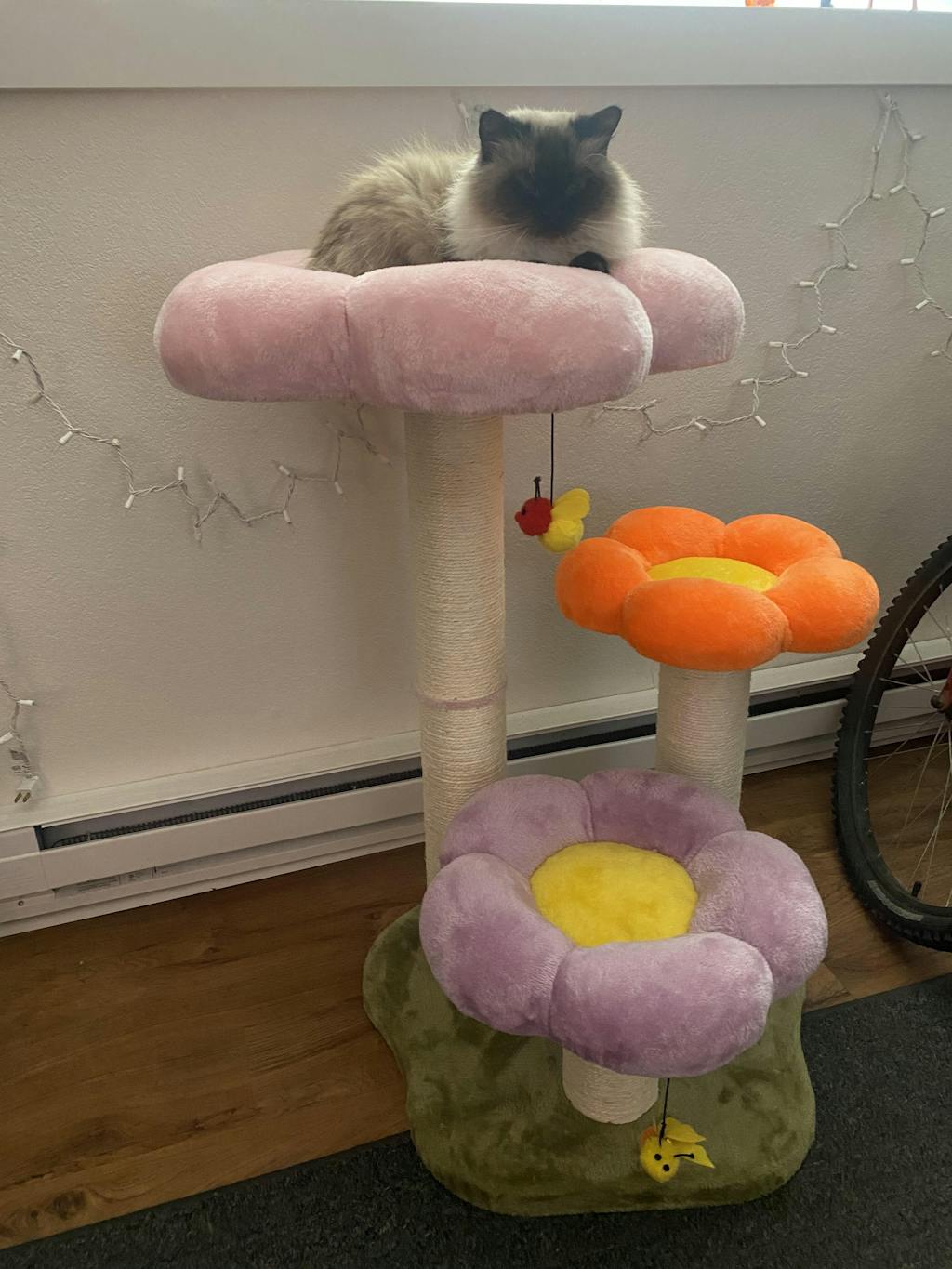 Three Flower Cat Tree – Happy & Polly