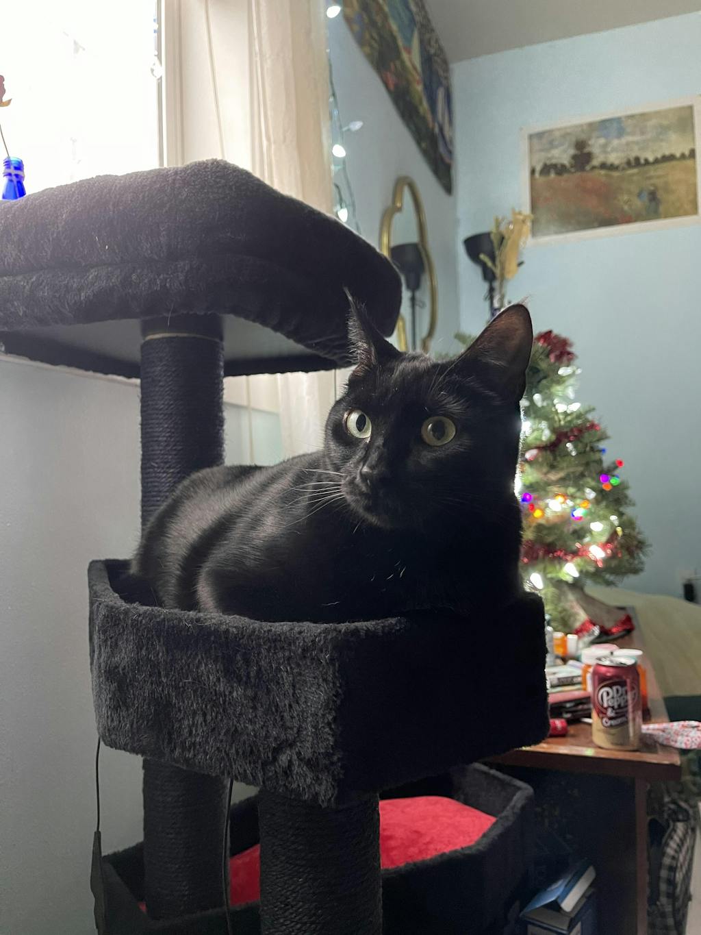 Gothic Style Cat Tree – Happy & Polly