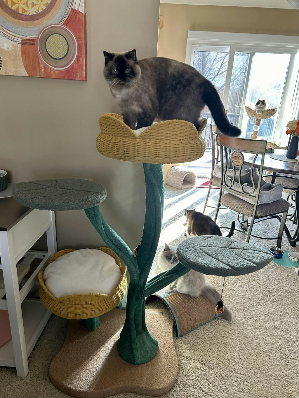 Yellow Tulip Cat Tree – Happy & Polly