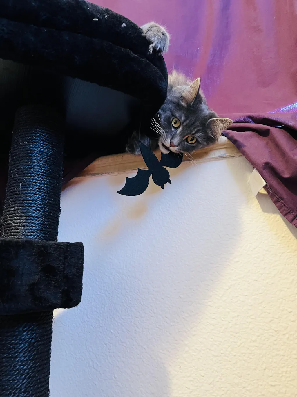 Gothic Style Cat Tree – Happy & Polly