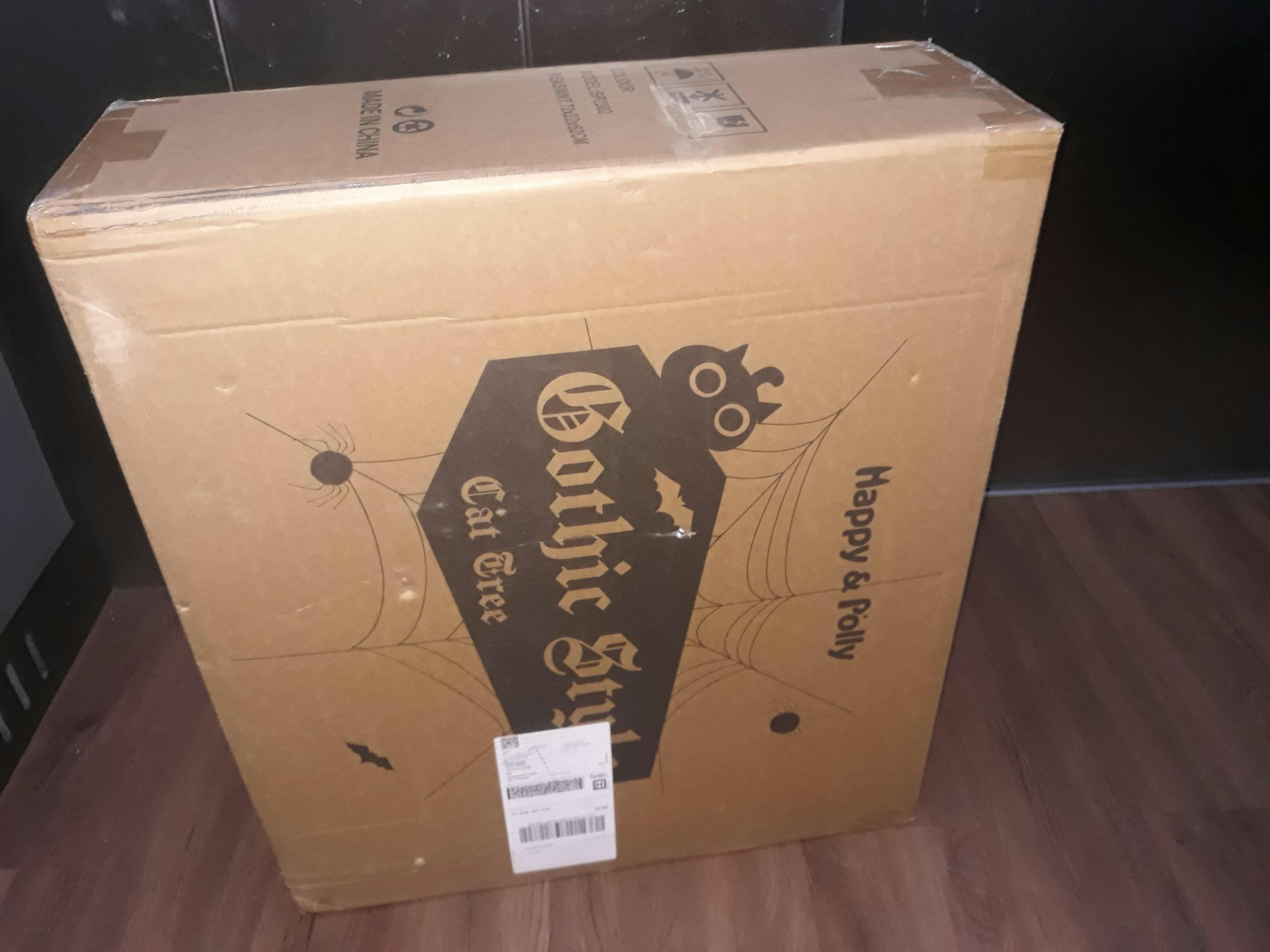 Gothic Style Cat Combo – Happy & Polly