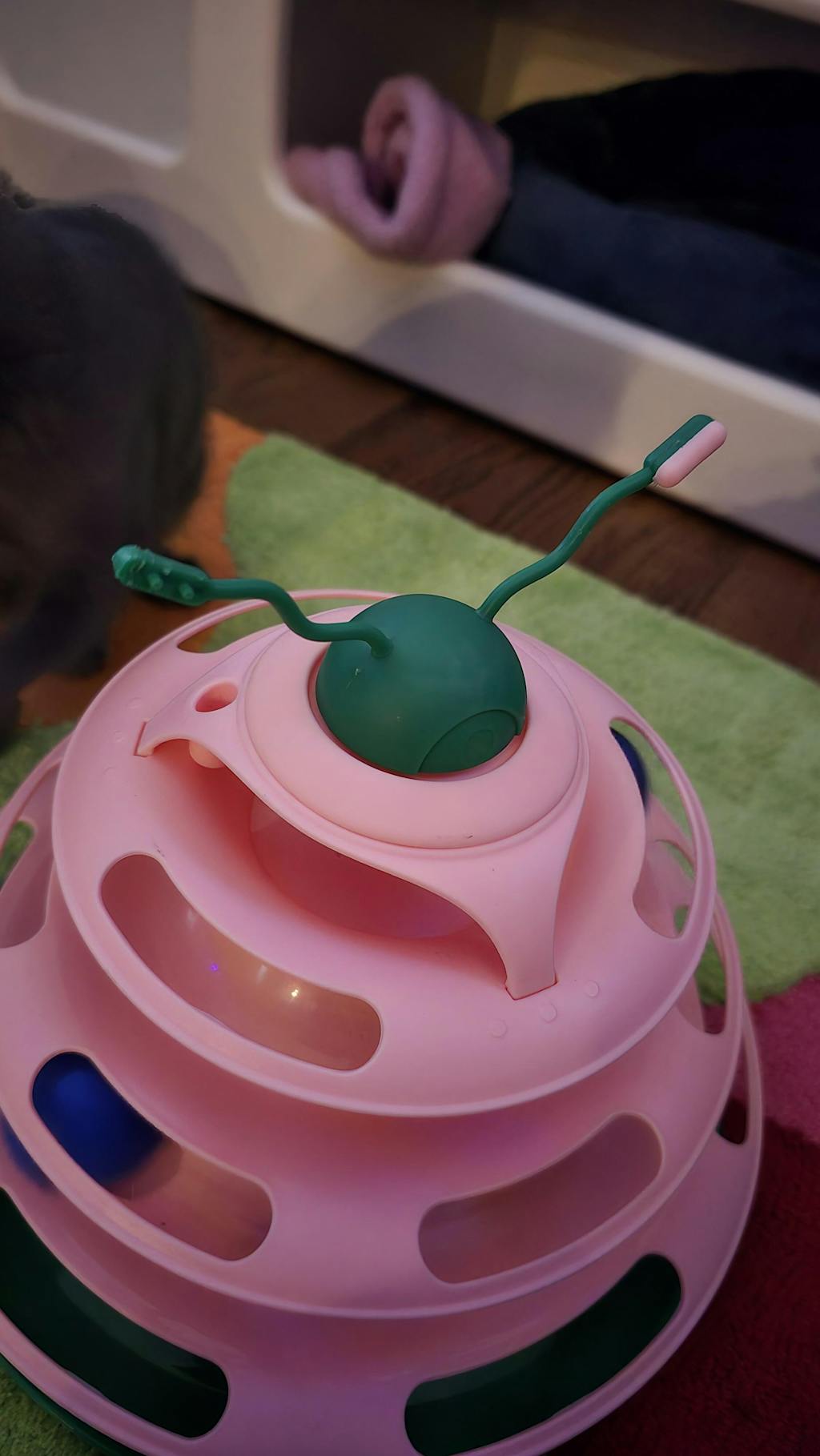 Interactive Insect Cat Spinner Toy – Happy & Polly