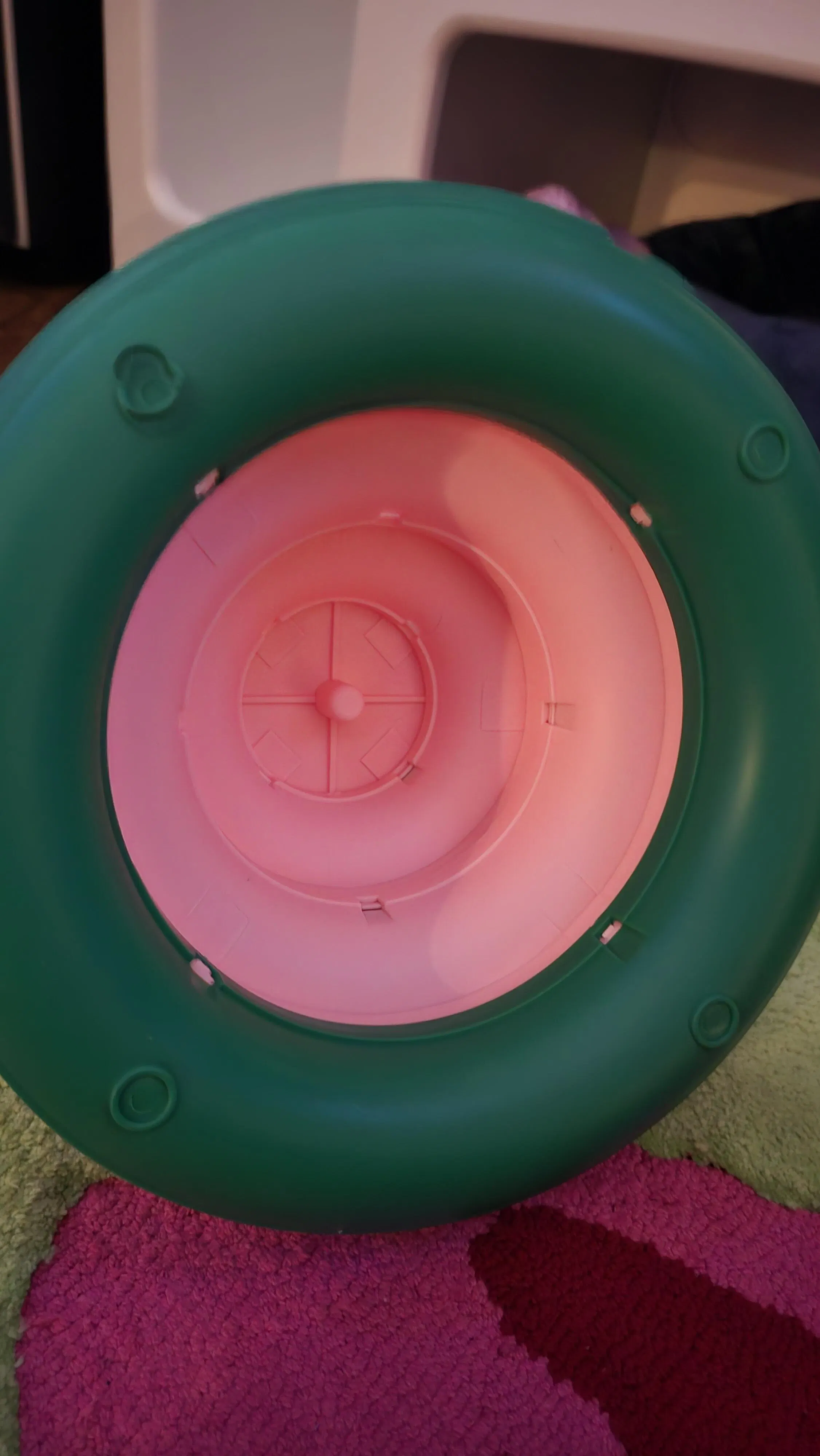 Interactive Insect Cat Spinner Toy – Happy & Polly