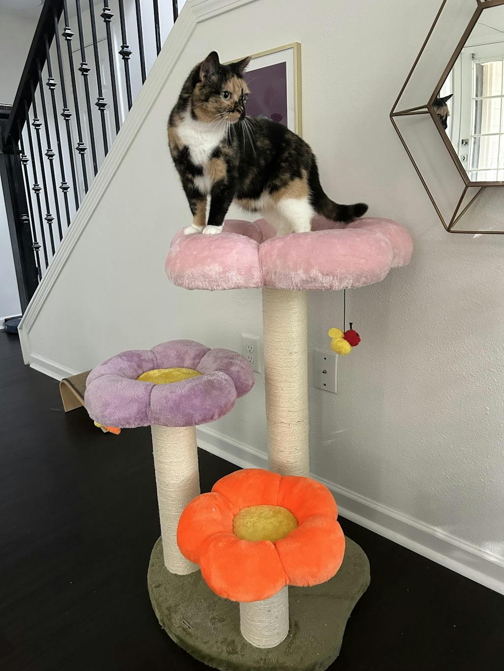 Three Flower Cat Tree – Happy & Polly