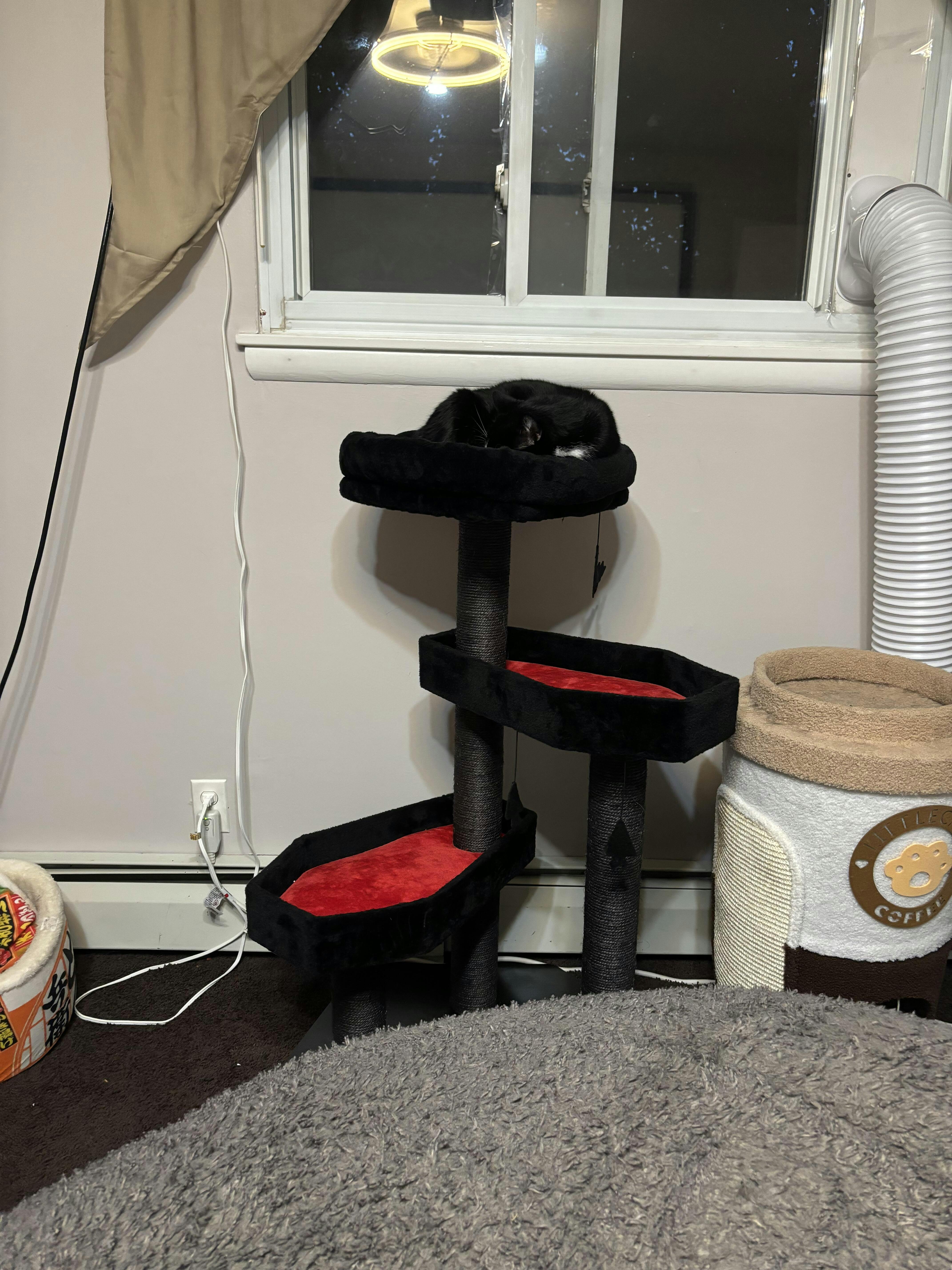 Gothic Style Cat Tree – Happy & Polly