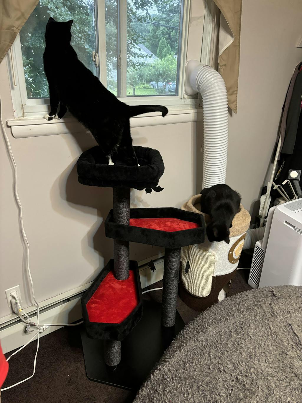 Gothic Style Cat Tree – Happy & Polly