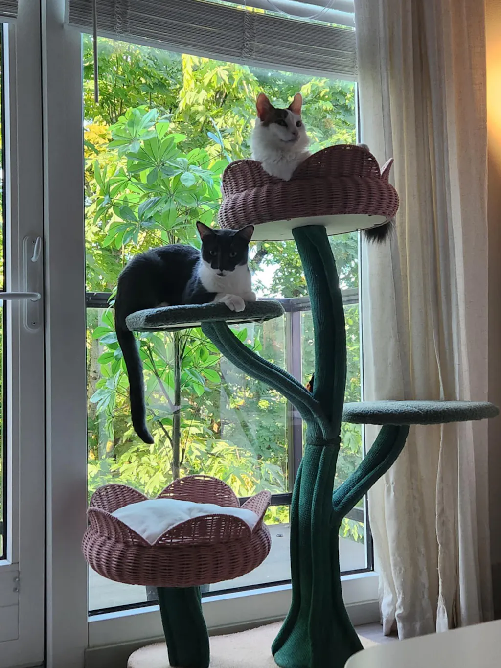 Yellow Tulip Cat Tree – Happy & Polly