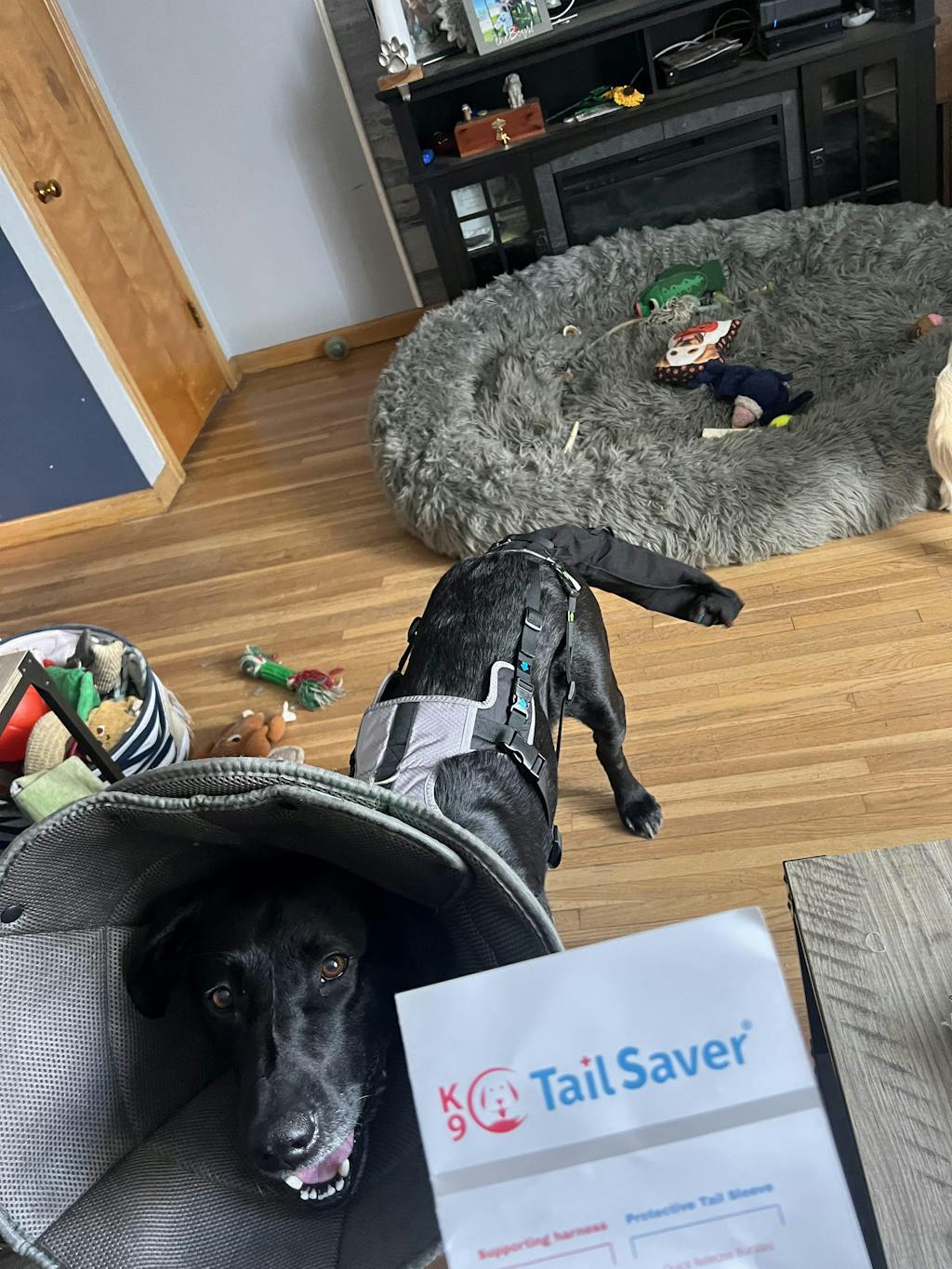 K9 TailSaver: Heals Happy Tail, and ALL Dog Tail Injuries – Happy TailSaver