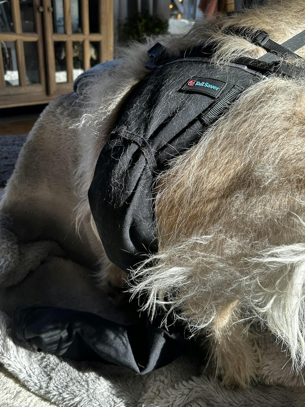 K9 TailSaver: Heals Happy Tail, and ALL Dog Tail Injuries – Happy TailSaver