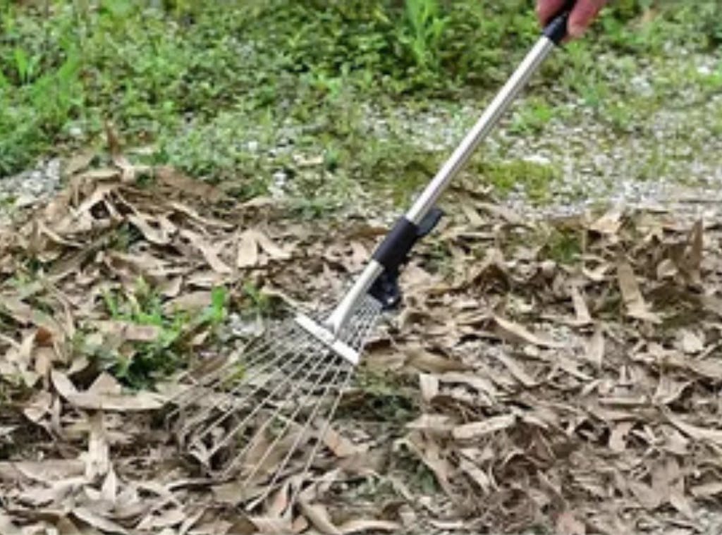 15 Tines Adjustable Leaf Rake – Hardy Garden