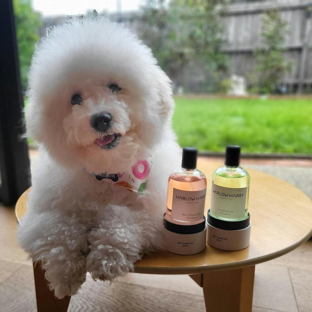 Dog Perfume | The Pair 2.0 | HARLOW HARRY