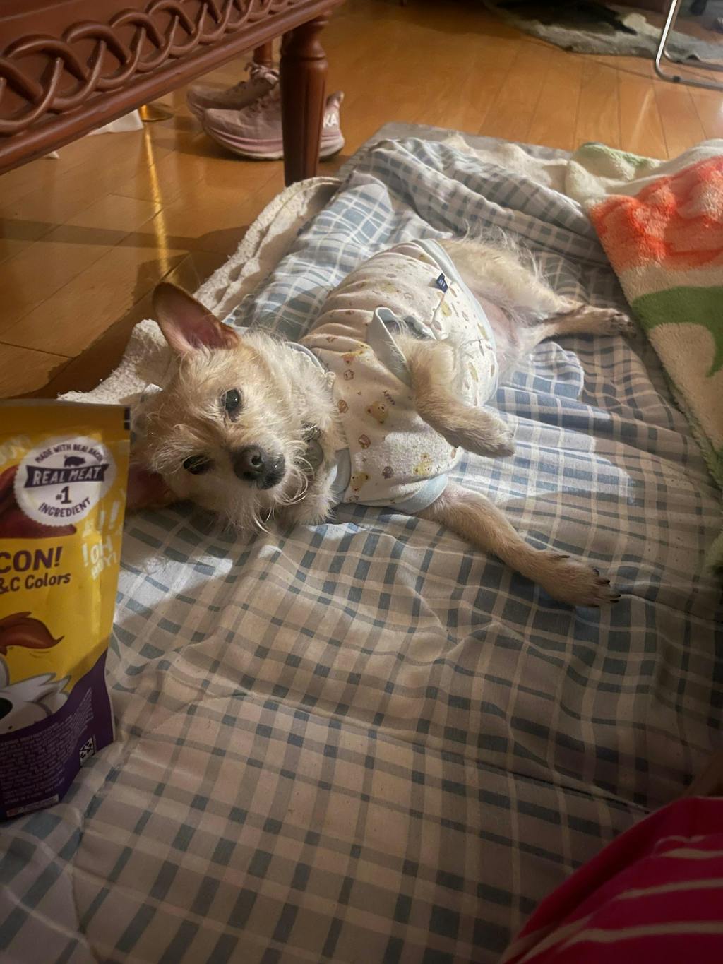 HARLOW HARRY Luxe Lather Bathing Brush