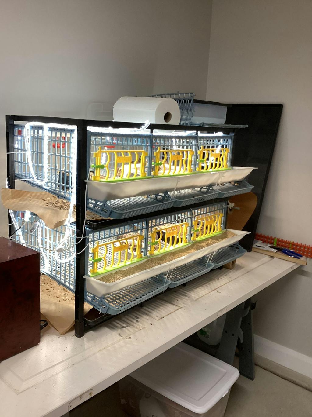 Quail Cage - 2 Layer (Breeding Pen, Stackable, Clean) | Hatching Time