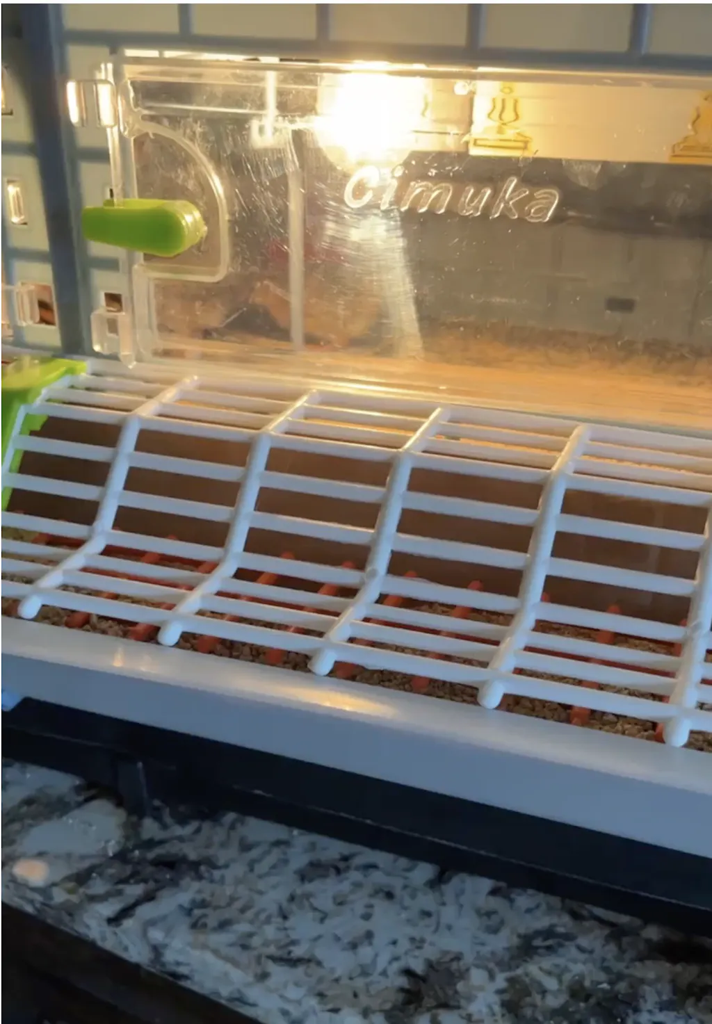 9.5" Tall Chick Brooder - 1 Layer (Stackable, Easy-to-Clean) Cimuka ...