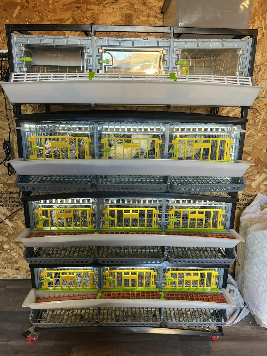 Quail Breeding Cage - 3 Layer (Easy Clean Quail Pen) | Hatching Time